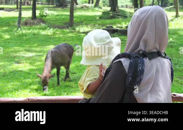 Woman at a zoo with child, observing animals behind a fence. Perfect ...