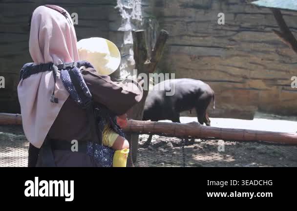 Woman at a zoo with child, observing animals behind a fence. Perfect ...