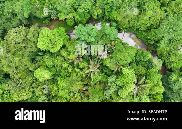 Aerial symphony river weaves through Harau Valley endless emerald ...