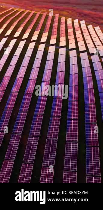 Multiple rows of solar panels capturing evening sunlight on a vast ...