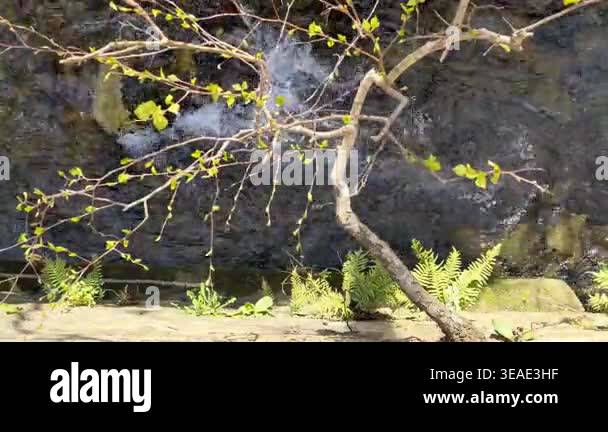 beautiful view of outdoor scene Stock Video Footage - Alamy