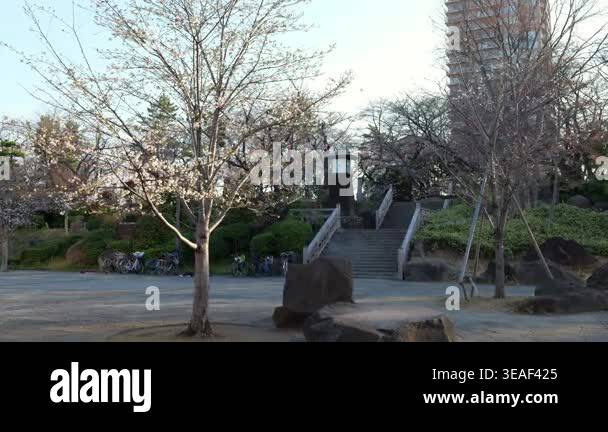 Asukayama Park, Japan Tokyo March 2026 Stock Video Footage - Alamy