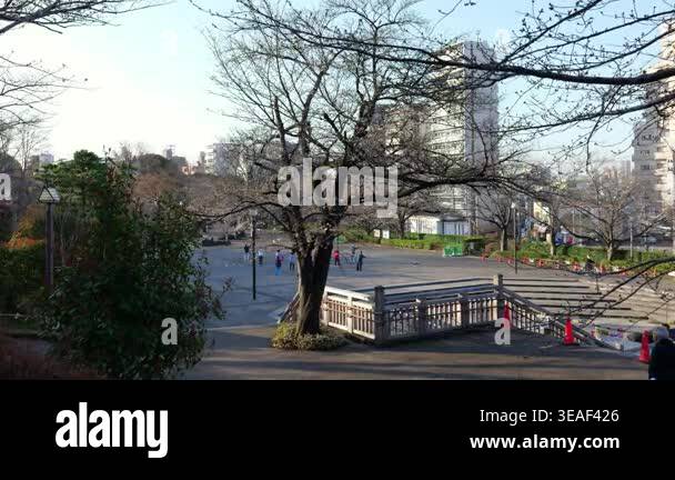 Asukayama Park, Japan Tokyo March 2026 Stock Video Footage - Alamy