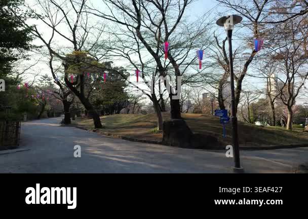 Asukayama Park, Japan Tokyo March 2026 Stock Video Footage - Alamy