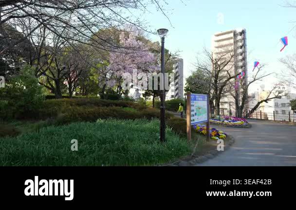 Asukayama Park, Japan Tokyo March 2026 Stock Video Footage - Alamy