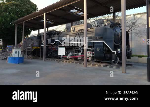 Asukayama Park, Japan Tokyo March 2026 Stock Video Footage - Alamy