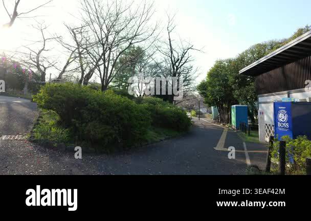 Asukayama Park, Japan Tokyo March 2026 Stock Video Footage - Alamy