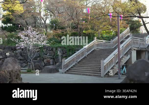 Asukayama Park, Japan Tokyo March 2026 Stock Video Footage - Alamy