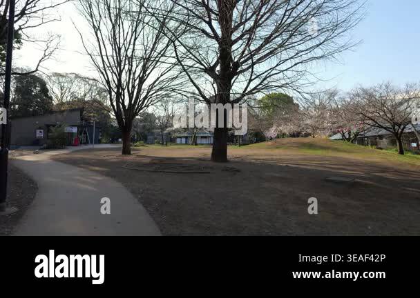 Asukayama Park, Japan Tokyo March 2026 Stock Video Footage - Alamy