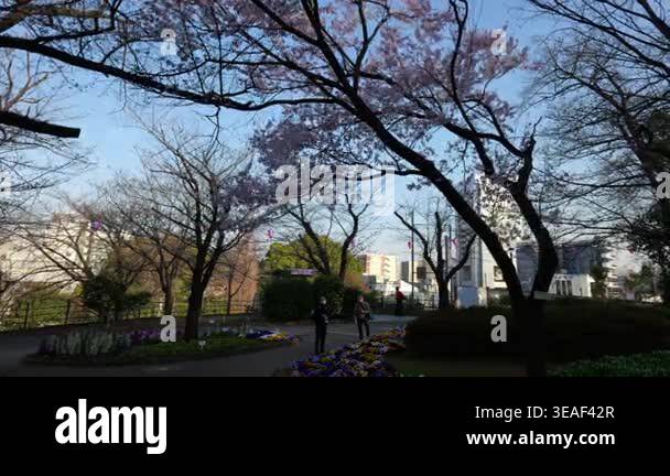 Asukayama Park, Japan Tokyo March 2026 Stock Video Footage - Alamy