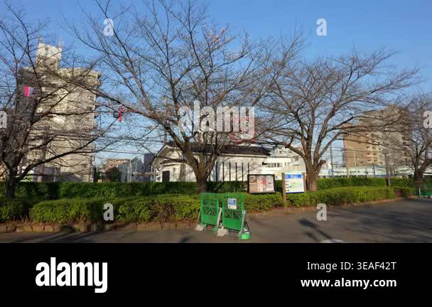 Asukayama Park, Japan Tokyo March 2026 Stock Video Footage - Alamy