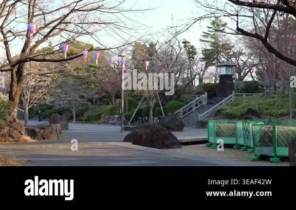 Asukayama Park, Japan Tokyo March 2026 Stock Video Footage - Alamy