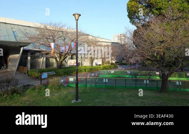 Asukayama Park, Japan Tokyo March 2026 Stock Video Footage - Alamy