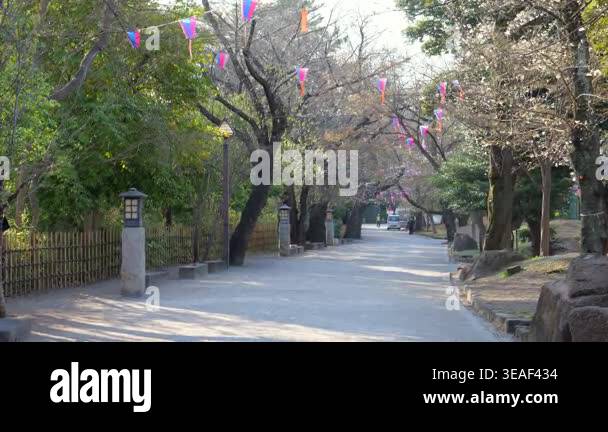 Asukayama Park, Japan Tokyo March 2026 Stock Video Footage - Alamy