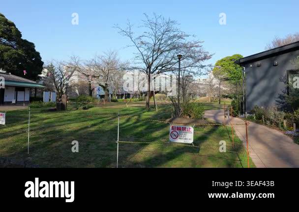 Asukayama Park, Japan Tokyo March 2026 Stock Video Footage - Alamy