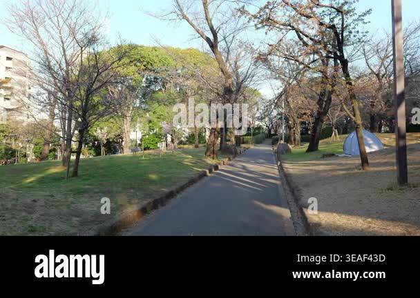 Asukayama Park, Japan Tokyo March 2026 Stock Video Footage - Alamy