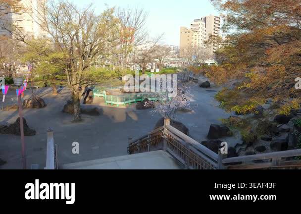 Asukayama Park, Japan Tokyo March 2026 Stock Video Footage - Alamy