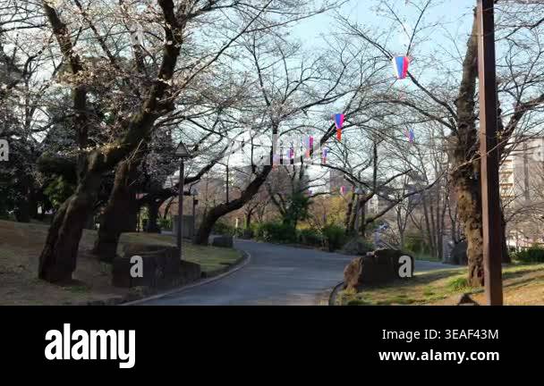 Asukayama Park, Japan Tokyo March 2026 Stock Video Footage - Alamy