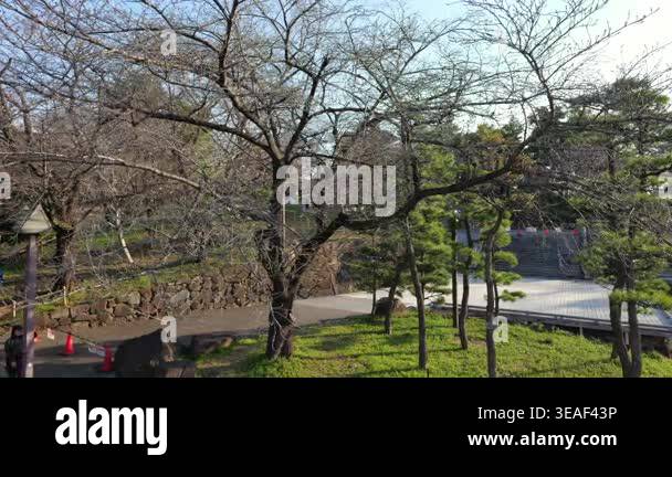 Asukayama Park, Japan Tokyo March 2026 Stock Video Footage - Alamy