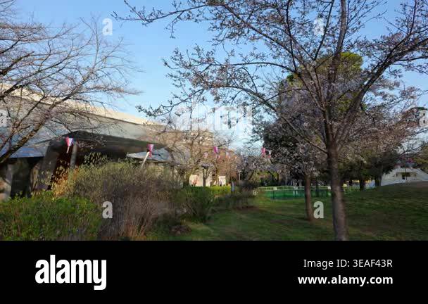 Asukayama Park, Japan Tokyo March 2026 Stock Video Footage - Alamy