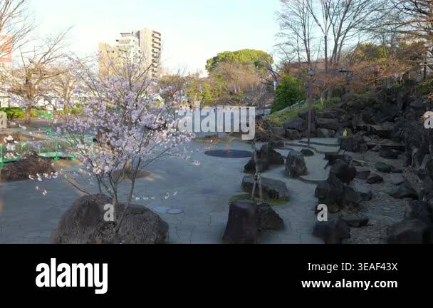 Asukayama Park, Japan Tokyo March 2026 Stock Video Footage - Alamy