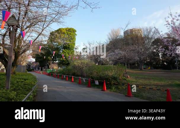 Asukayama Park, Japan Tokyo March 2026 Stock Video Footage - Alamy