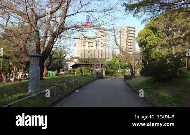 Asukayama Park, Japan Tokyo March 2026 Stock Video Footage - Alamy