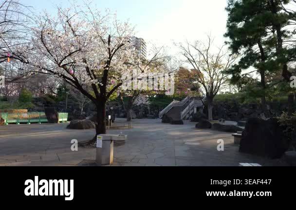 Asukayama Park, Japan Tokyo March 2026 Stock Video Footage - Alamy