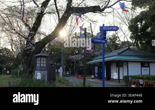 Asukayama Park, Japan Tokyo March 2026 Stock Video Footage - Alamy