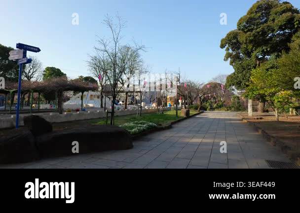 Asukayama Park, Japan Tokyo March 2026 Stock Video Footage - Alamy