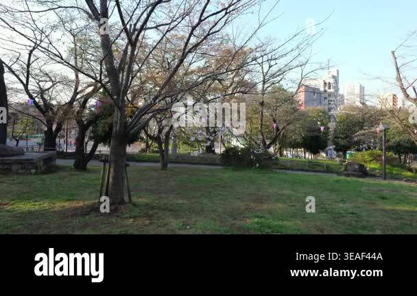 Asukayama Park, Japan Tokyo March 2026 Stock Video Footage - Alamy