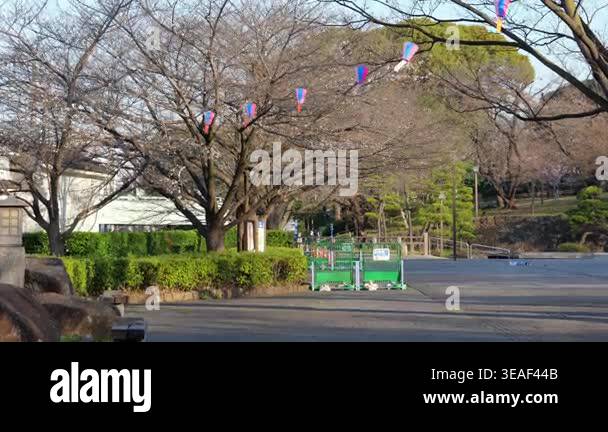 Asukayama Park, Japan Tokyo March 2026 Stock Video Footage - Alamy