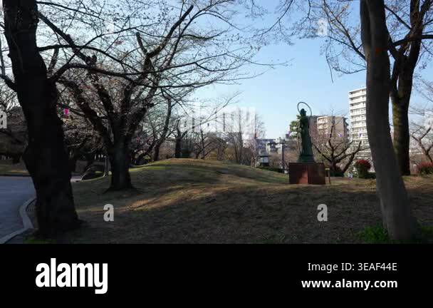 Asukayama Park, Japan Tokyo March 2026 Stock Video Footage - Alamy
