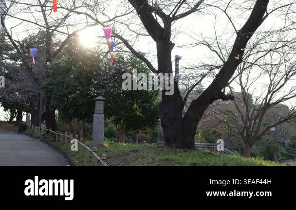 Asukayama Park, Japan Tokyo March 2026 Stock Video Footage - Alamy