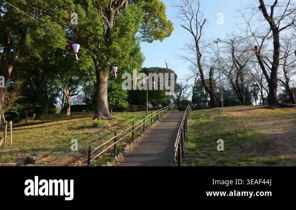 Asukayama Park, Japan Tokyo March 2026 Stock Video Footage - Alamy