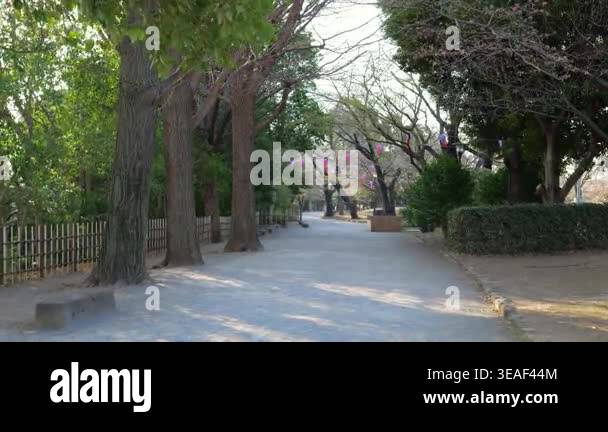 Asukayama Park, Japan Tokyo March 2026 Stock Video Footage - Alamy