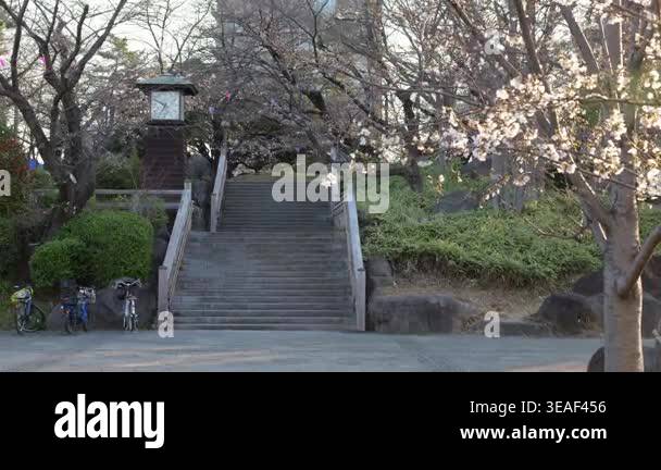 Asukayama Park, Japan Tokyo March 2026 Stock Video Footage - Alamy