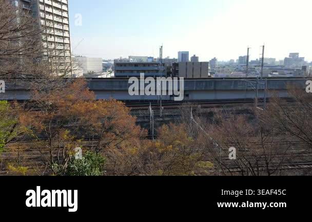 Asukayama Park, Japan Tokyo March 2026 Stock Video Footage - Alamy