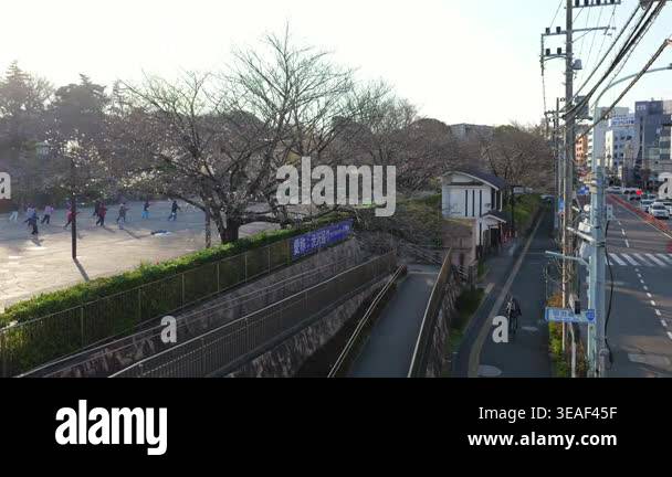 Asukayama Park, Japan Tokyo March 2026 Stock Video Footage - Alamy