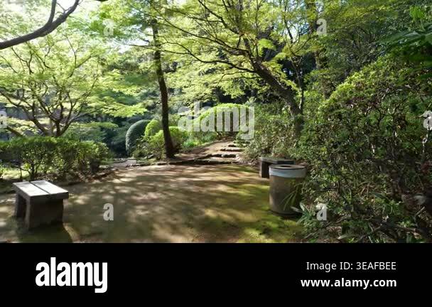 Kansenen Park Early morning, Japan Tokyo 2026 Stock Video Footage - Alamy