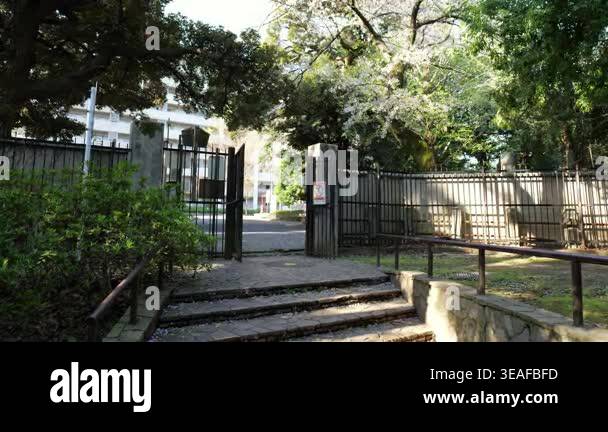 Kansenen Park Early morning, Japan Tokyo 2026 Stock Video Footage - Alamy