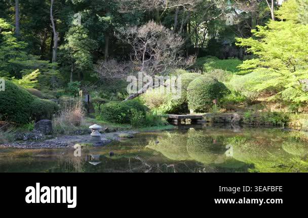 Kansenen Park Early morning, Japan Tokyo 2026 Stock Video Footage - Alamy