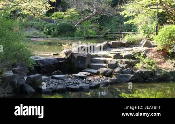Kansenen Park Early morning, Japan Tokyo 2026 Stock Video Footage - Alamy