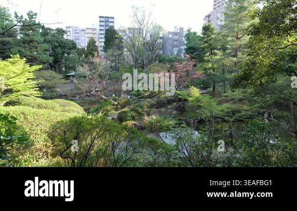 Kansenen Park Early morning, Japan Tokyo 2026 Stock Video Footage - Alamy