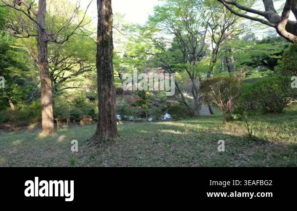 Kansenen Park Early morning, Japan Tokyo 2026 Stock Video Footage - Alamy