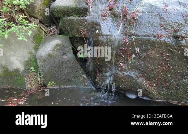 Kansenen Park Early morning, Japan Tokyo 2026 Stock Video Footage - Alamy