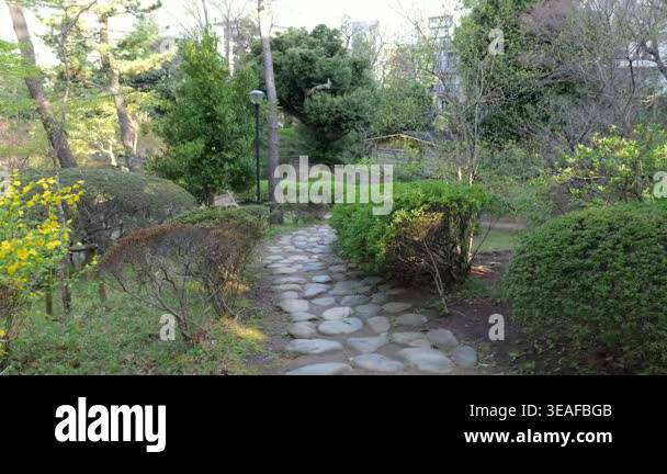 Kansenen Park Early morning, Japan Tokyo 2026 Stock Video Footage - Alamy
