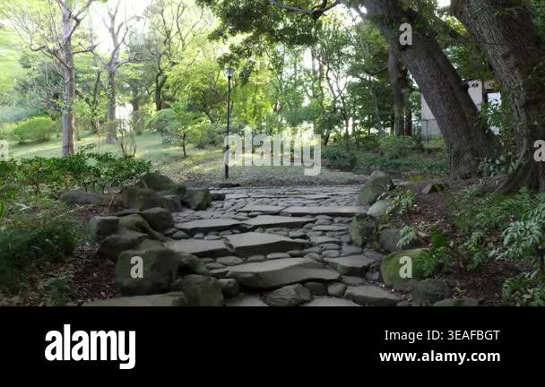 Kansenen Park Early morning, Japan Tokyo 2026 Stock Video Footage - Alamy