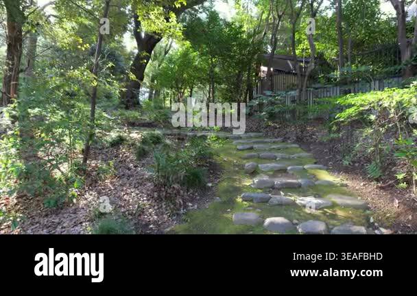 Kansenen Park Early morning, Japan Tokyo 2026 Stock Video Footage - Alamy