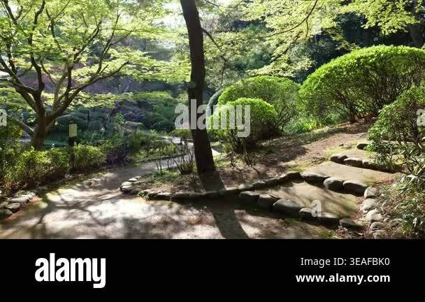 Kansenen Park Early morning, Japan Tokyo 2026 Stock Video Footage - Alamy